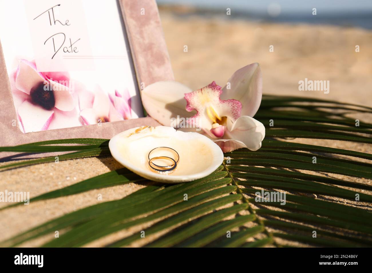 Marry shell hi-res stock photography and images - Alamy