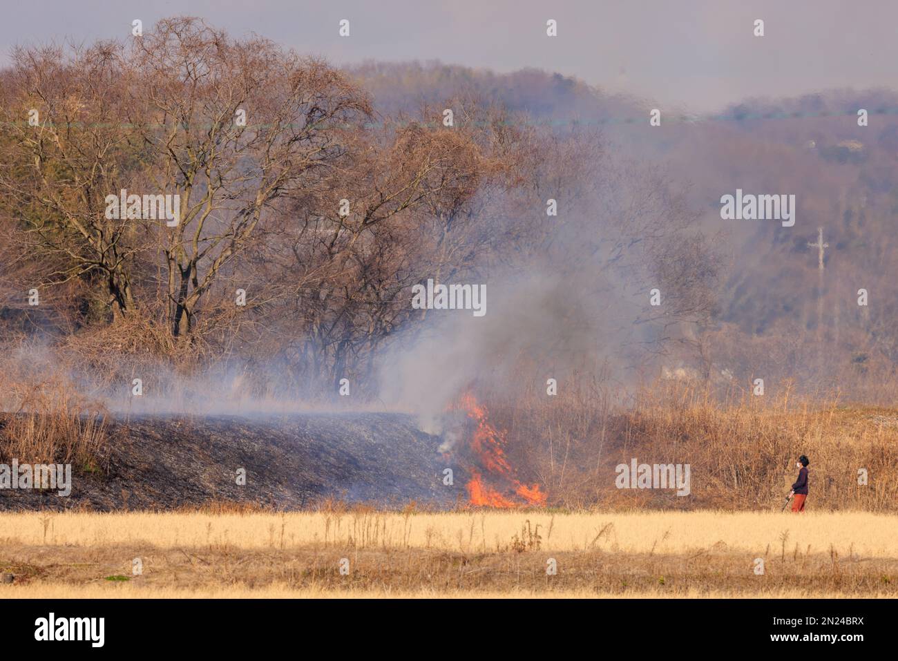 Hyogo, japan - February 5, 2023: Man watches fire and smoke on hill by ...