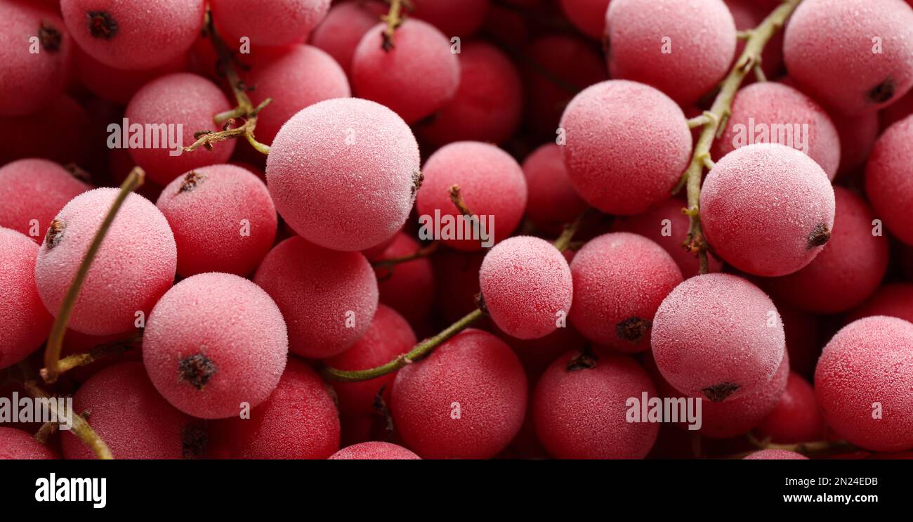 Tasty frozen red currants hi-res stock photography and images - Alamy