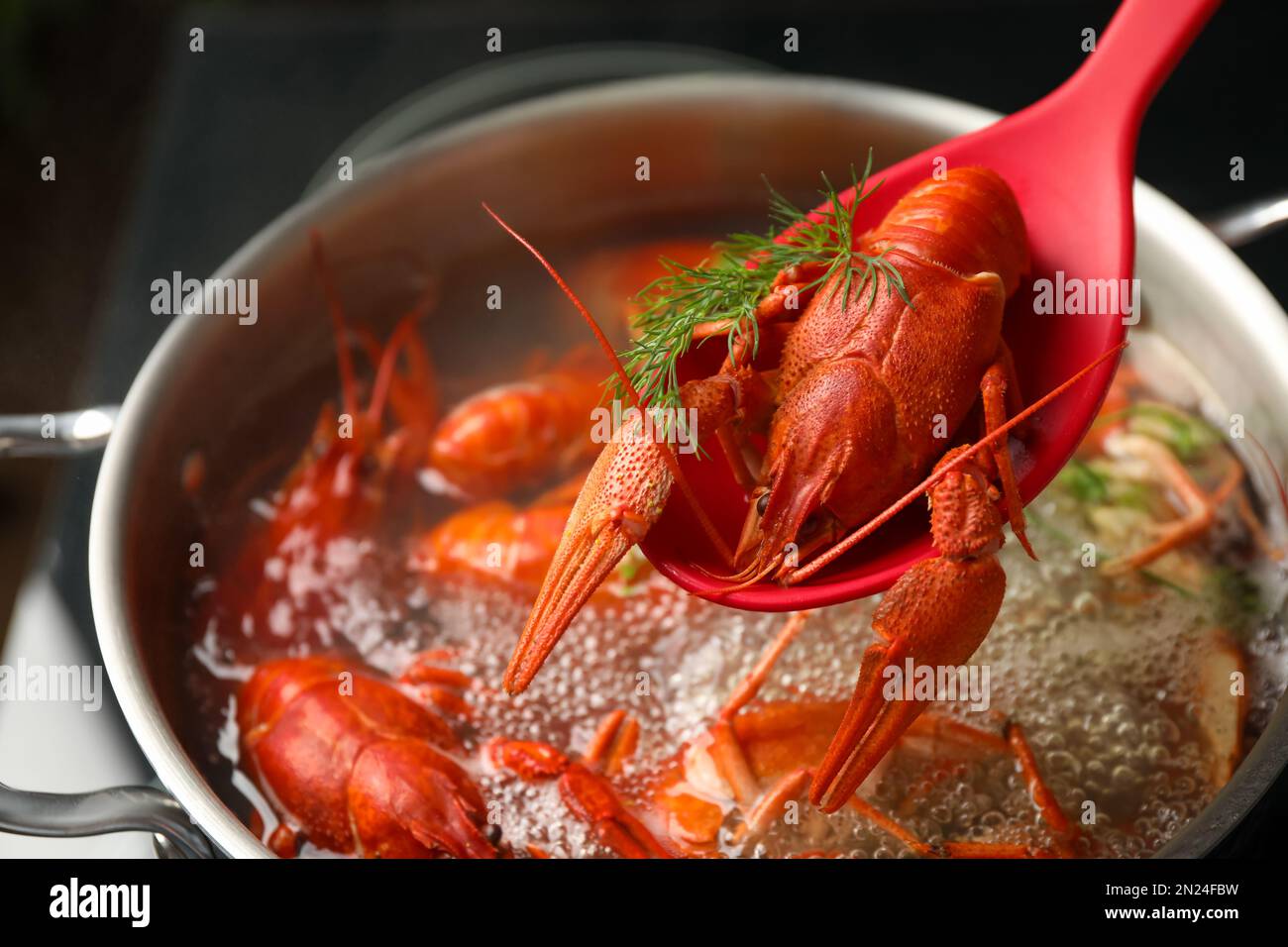 Spoon with fresh delicious crayfish over pot, closeup Stock Photo - Alamy
