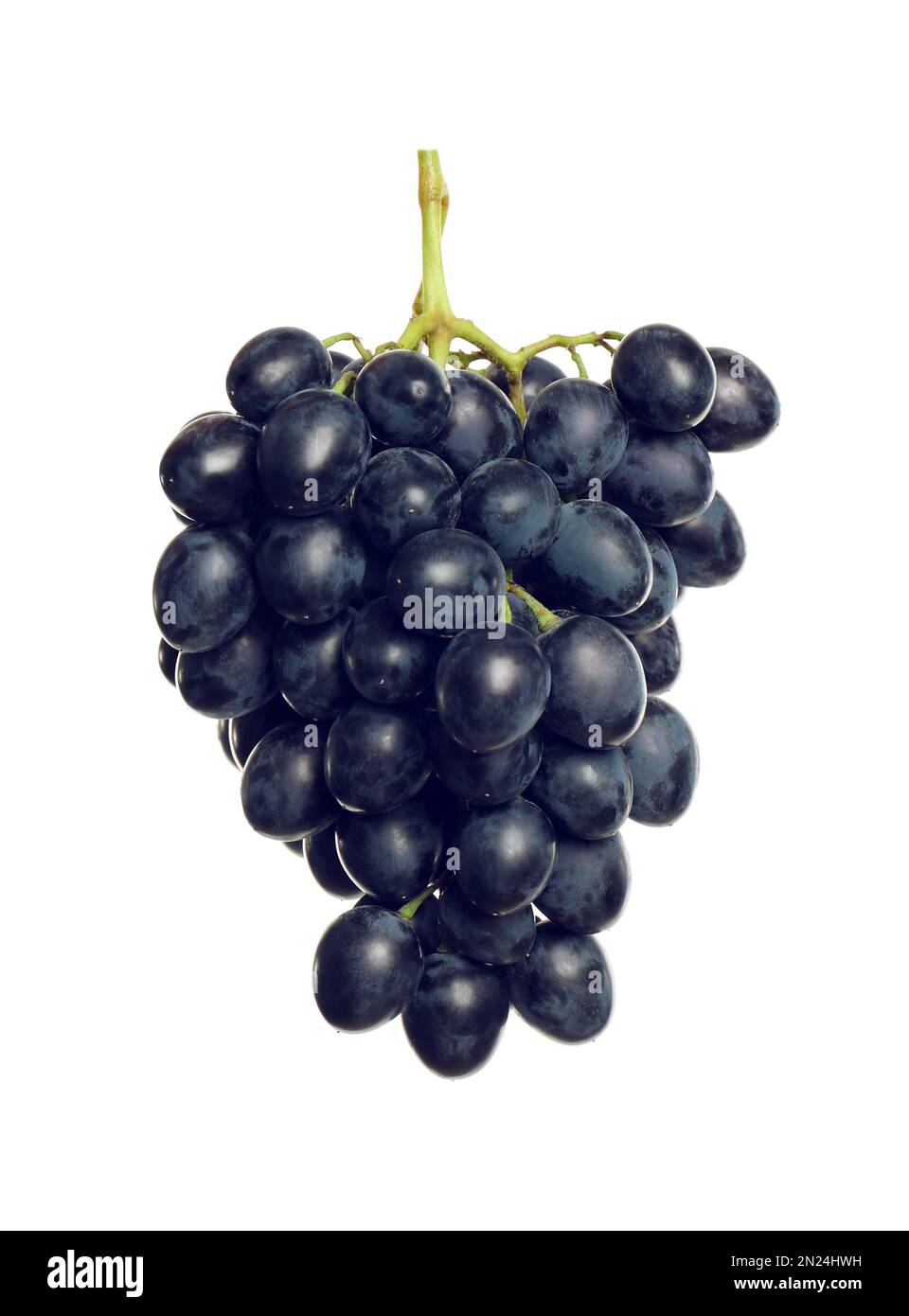 Bunch of fresh ripe juicy dark blue grapes isolated on white Stock ...