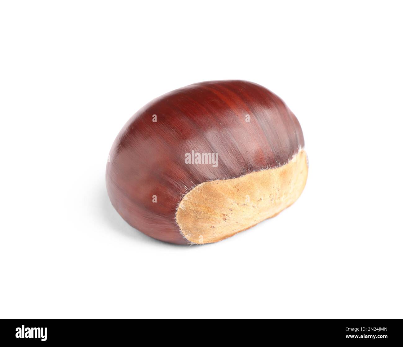 Fresh sweet edible chestnut isolated on white Stock Photo - Alamy