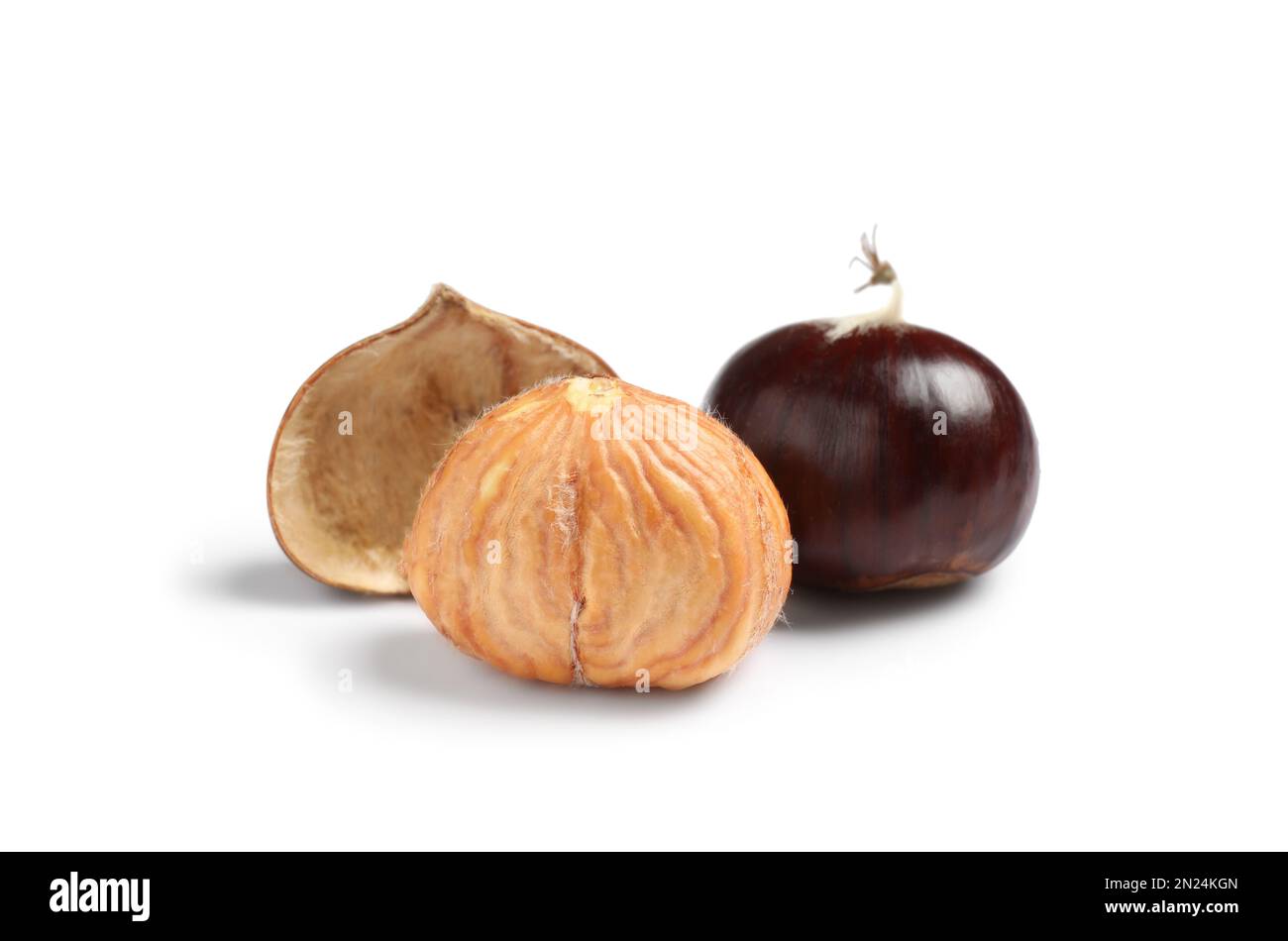 Fresh sweet edible chestnuts on white background Stock Photo - Alamy