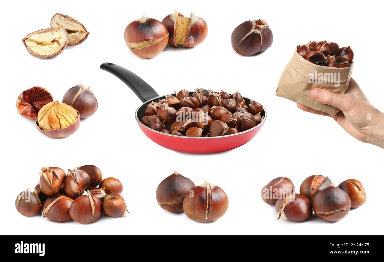 Collage with sweet roasted edible chestnuts isolated on white Stock ...