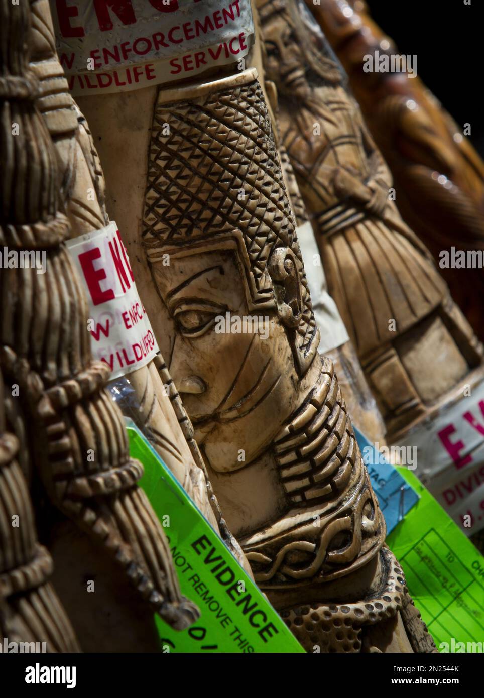 The U.S. government display confiscated illegal ivory before crushing ...