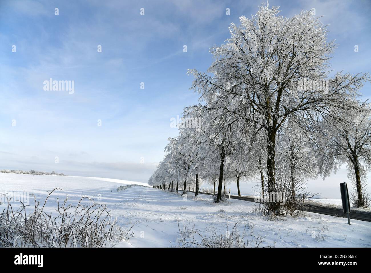 Country road with snowy trees Stock Photo - Alamy