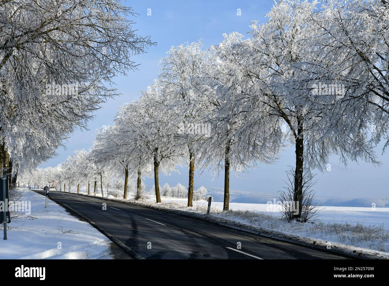 Country road with snowy trees Stock Photo - Alamy