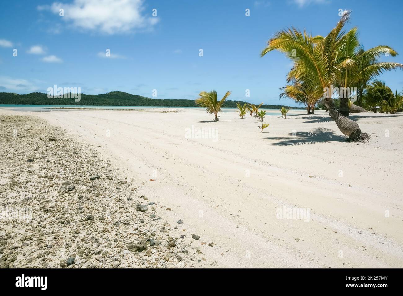 Coral atoll tropical island and palm trees in Cook Islands Stock Photo ...