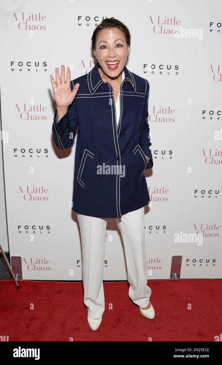 Journalist Ann Curry attends the premiere of "A Little Chaos" at the ...
