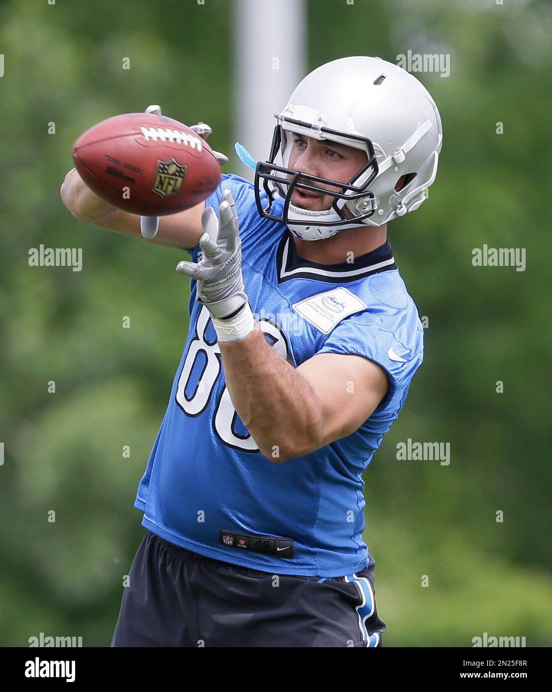 Detroit Lions tight end Joseph Fauria makes a catch during NFL football ...