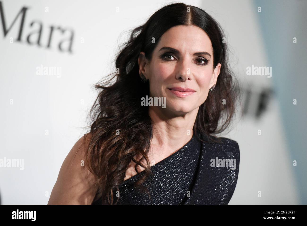 Sandra Bullock arrives at the Women in Film 2015 Crystal + Lucy Awards ...
