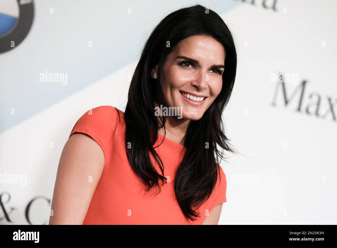 Angie Harmon arrives at the Women in Film 2015 Crystal + Lucy Awards at ...