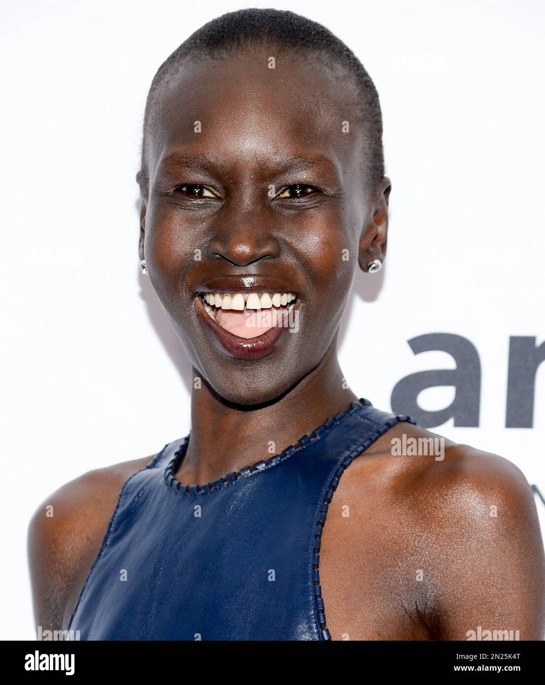 Alek Wek attends the 6th Annual amfAR New York Inspiration Gala at ...