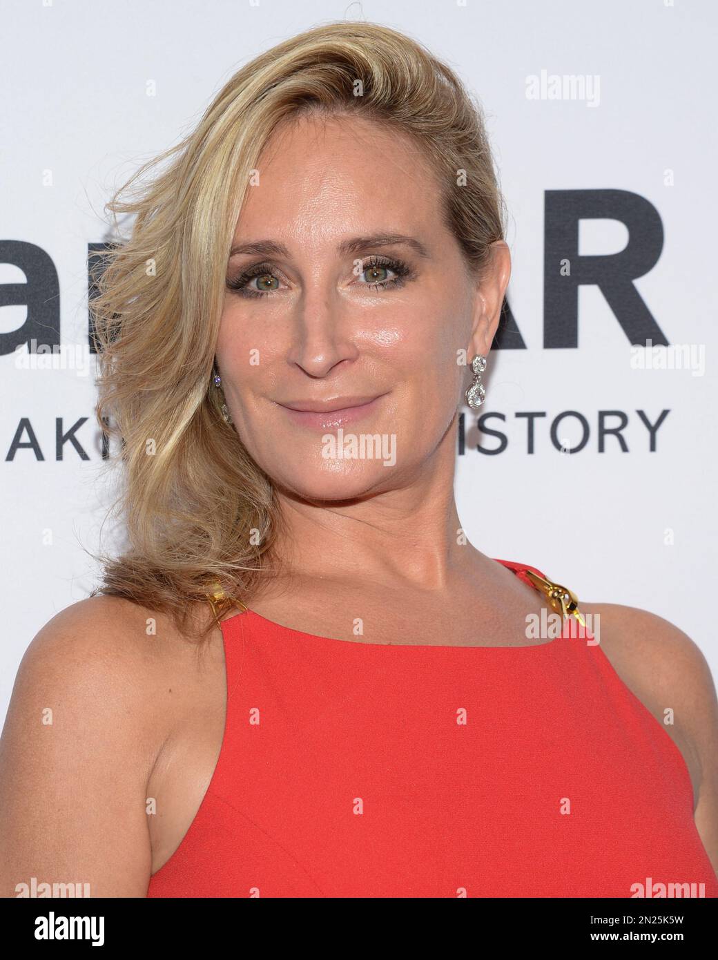 Sonja Morgan attends the 6th Annual amfAR New York Inspiration Gala at ...