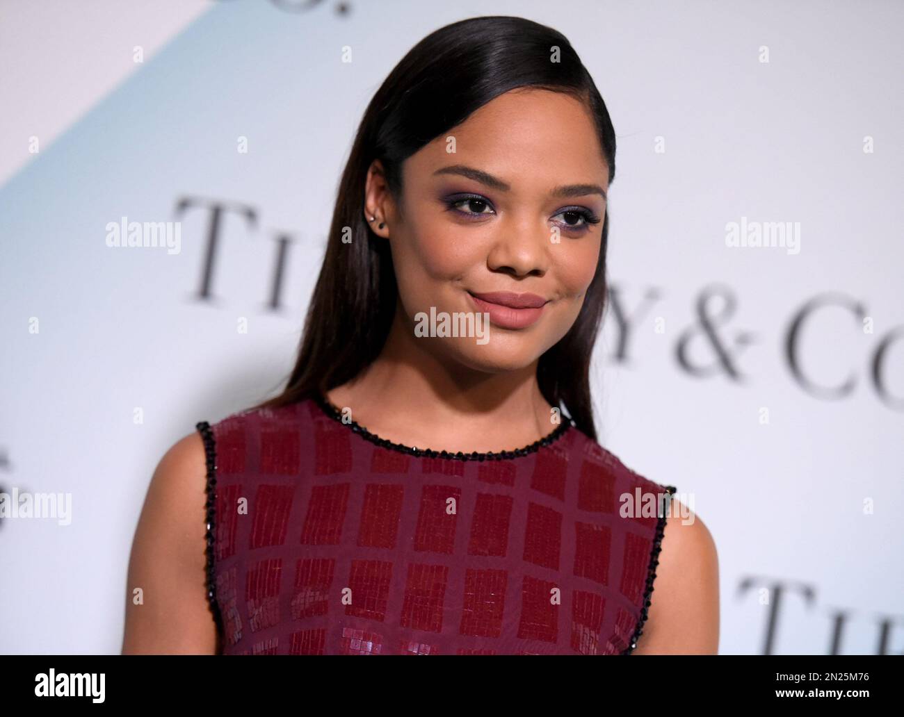 Tessa Thompson arrives at the Women in Film 2015 Crystal + Lucy Awards ...