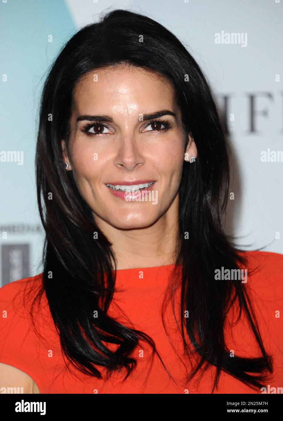 Angie Harmon arrives at the Women in Film 2015 Crystal + Lucy Awards at ...