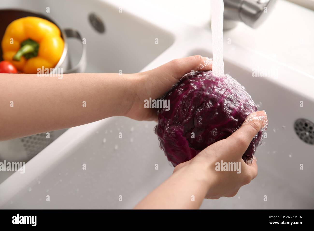 Woman washing fresh red cabbage in kitchen sink, closeup Stock Photo ...