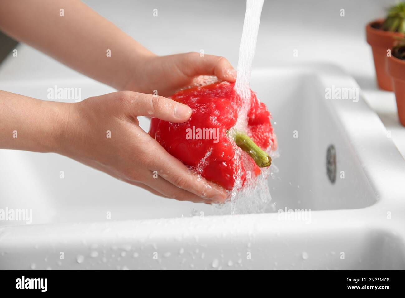 Woman washing fresh bell hi-res stock photography and images - Alamy