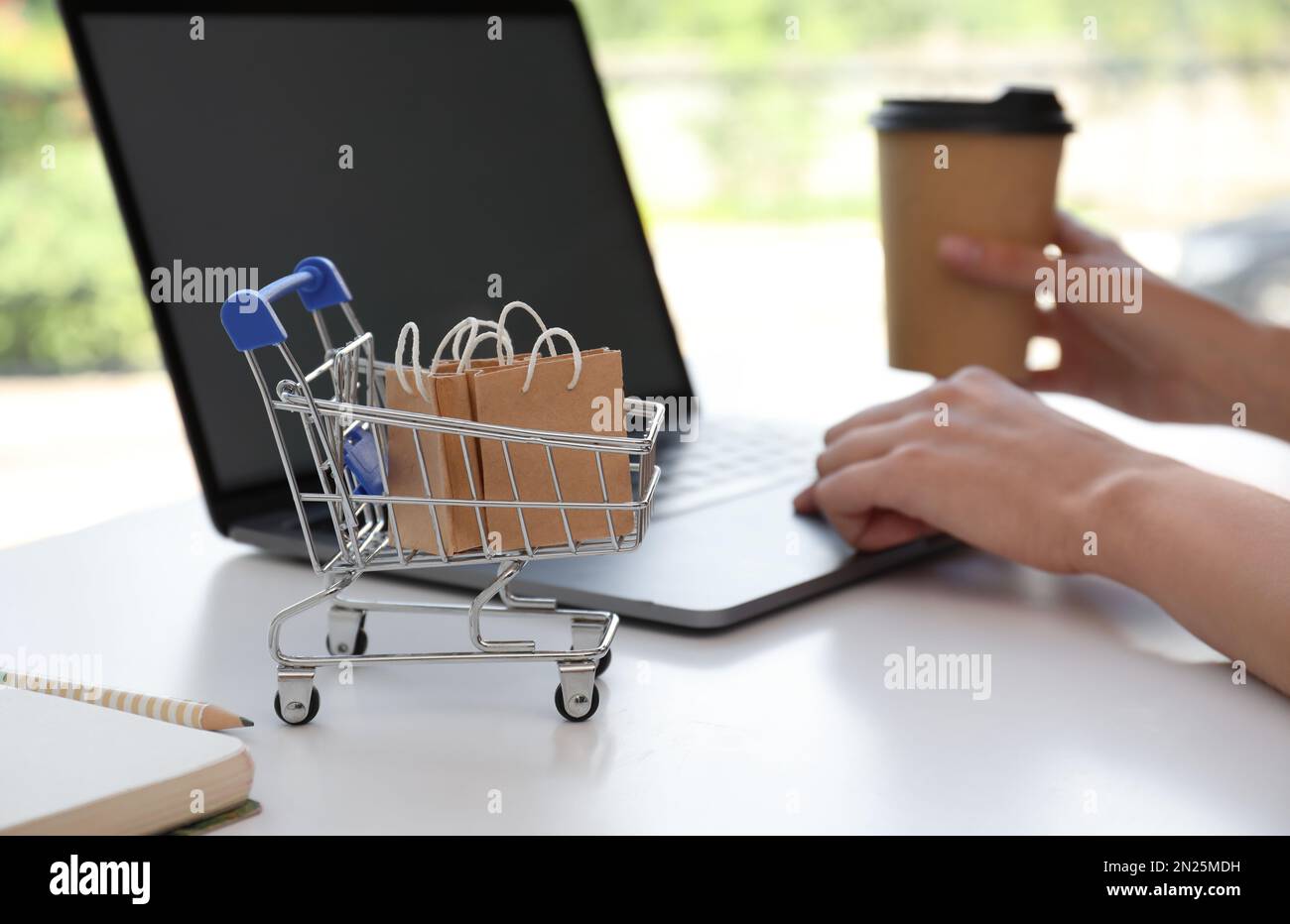 Using shopping cart trolley hi-res stock photography and images - Alamy