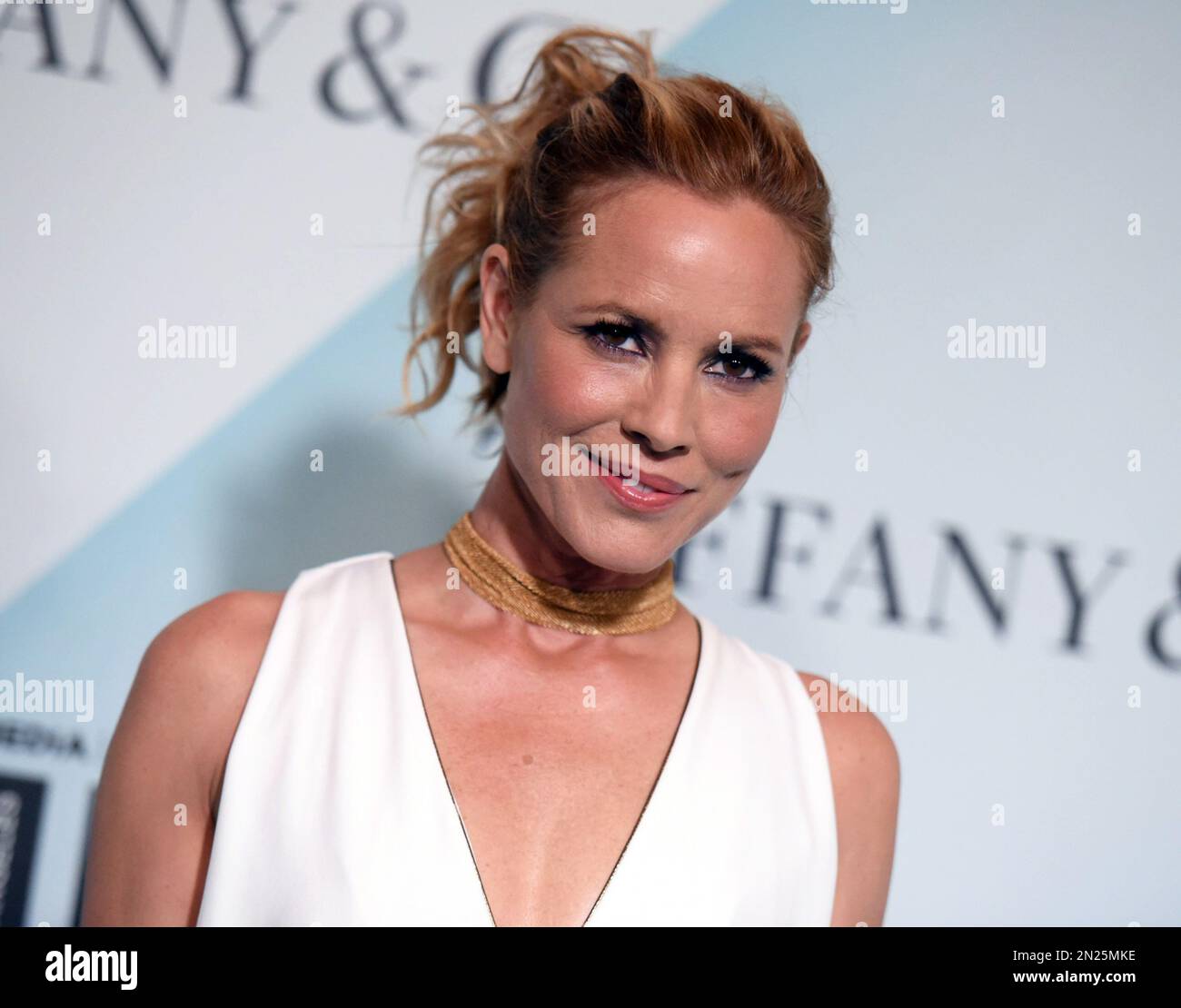 Maria Bello arrives at the Women in Film 2015 Crystal + Lucy Awards at ...