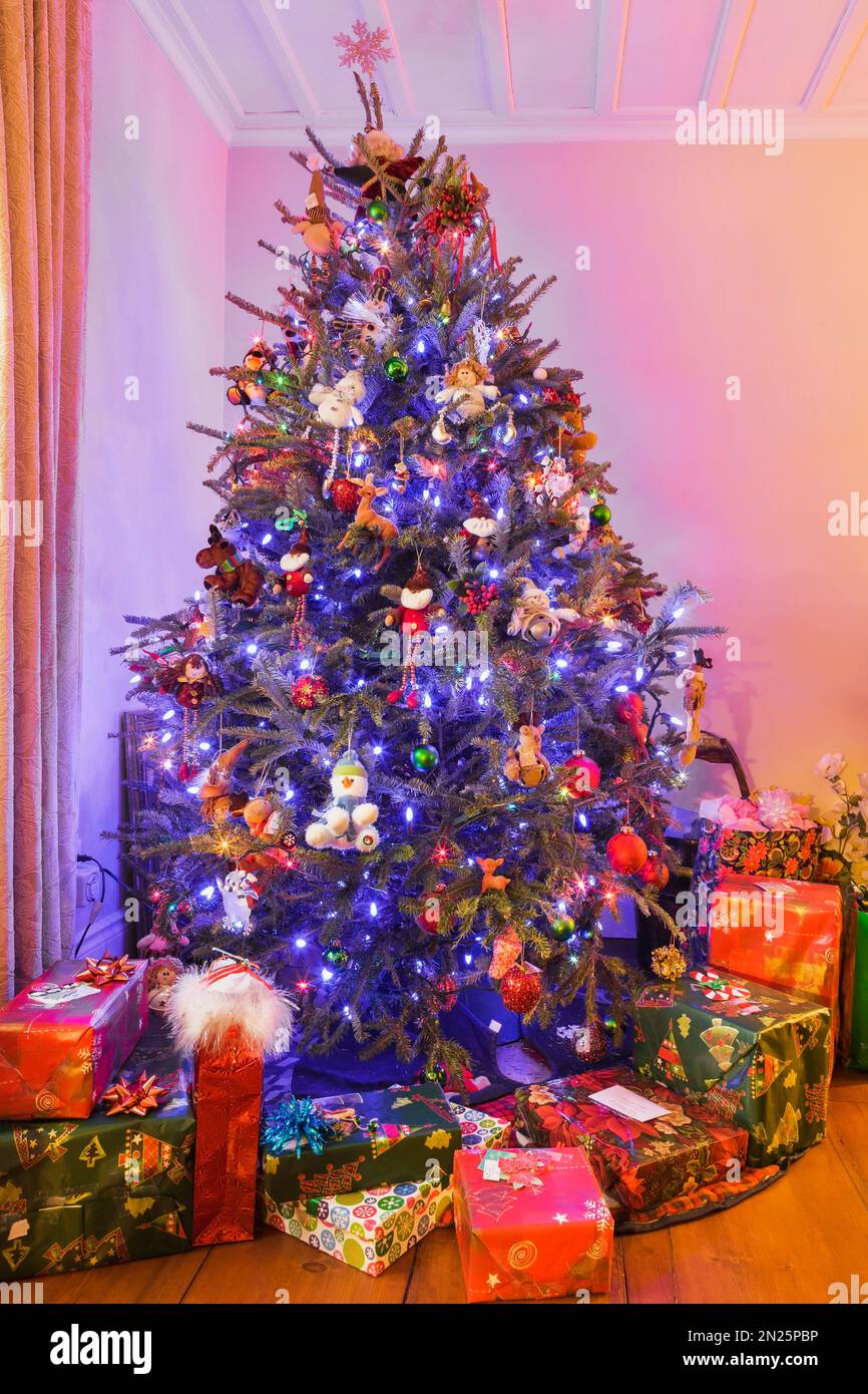 Illuminated Christmas tree and wrapped presents in living room inside ...