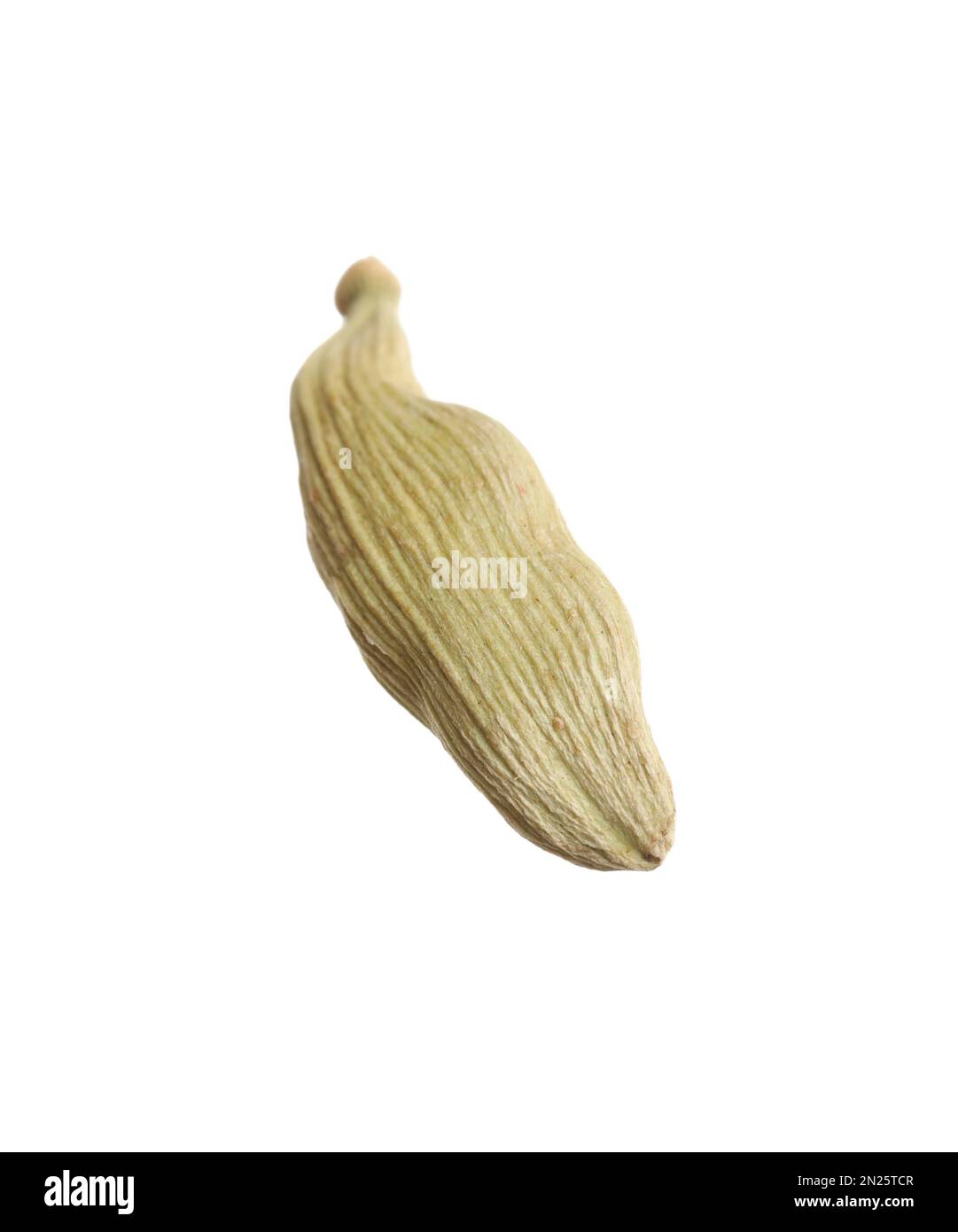 Dry cardamon seed isolated. Mulled wine ingredient Stock Photo - Alamy