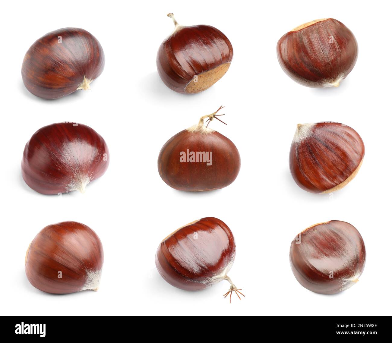 Set of sweet edible chestnuts on white background Stock Photo - Alamy