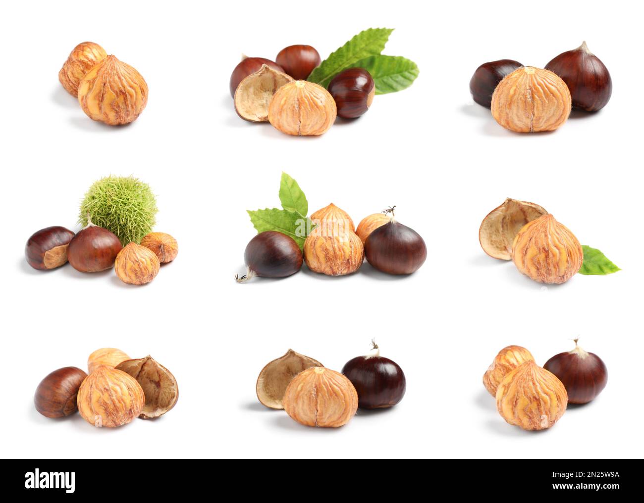 Set of sweet edible chestnuts with green leaves on white background ...