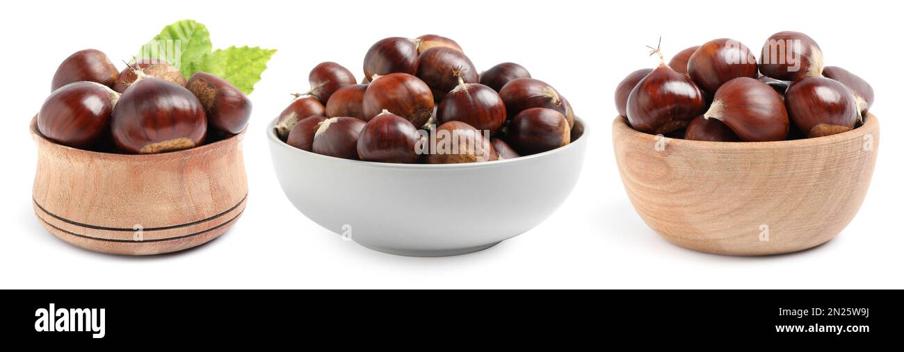 Set of sweet edible chestnuts in bowls on white background. Banner ...