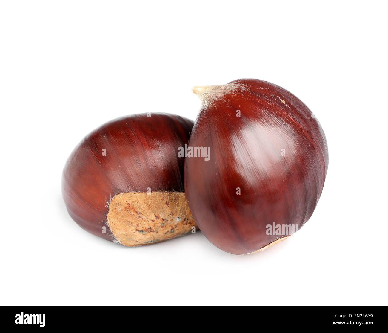 Fresh sweet edible chestnuts on white background Stock Photo - Alamy