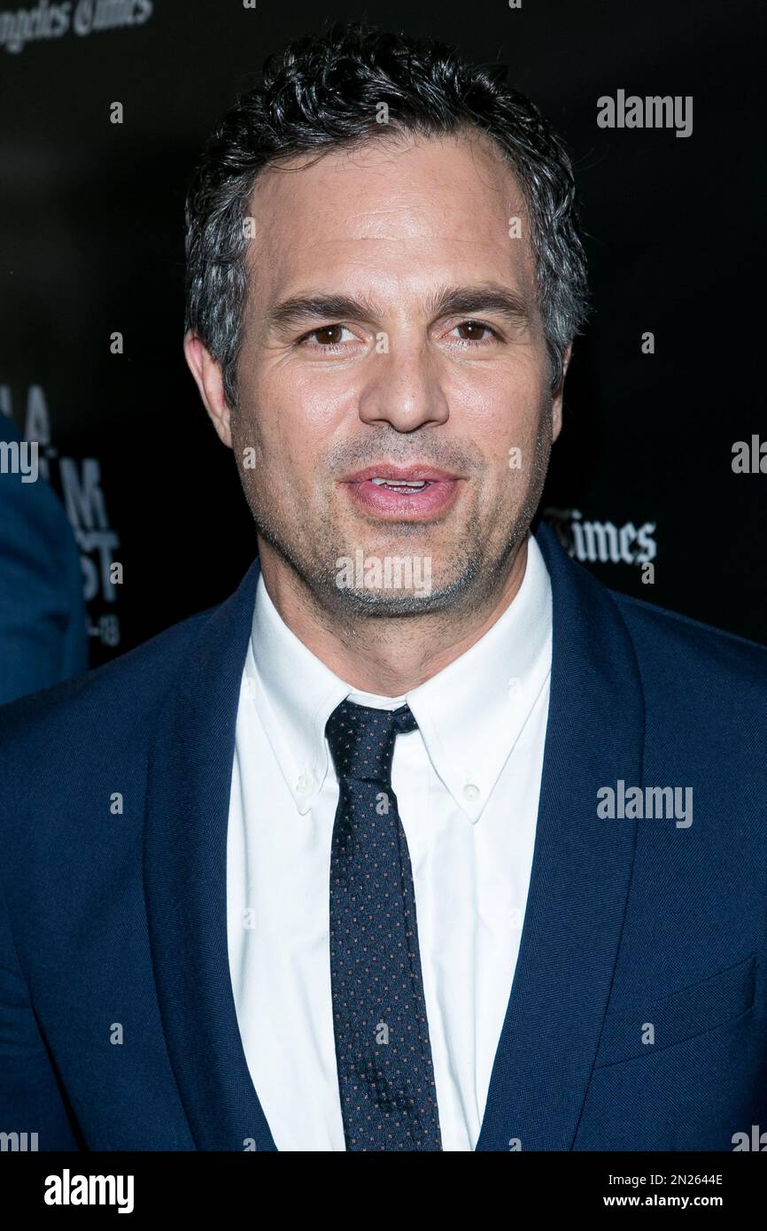 Mark Ruffalo attends the Los Angeles Premiere of "Infinitely Polar Bear ...
