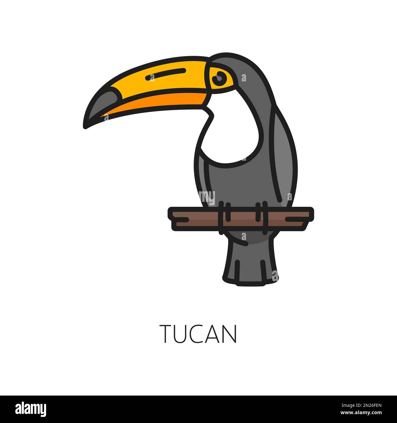 Toucan black bird isolated toco fowl with long beak, Argentina travel ...