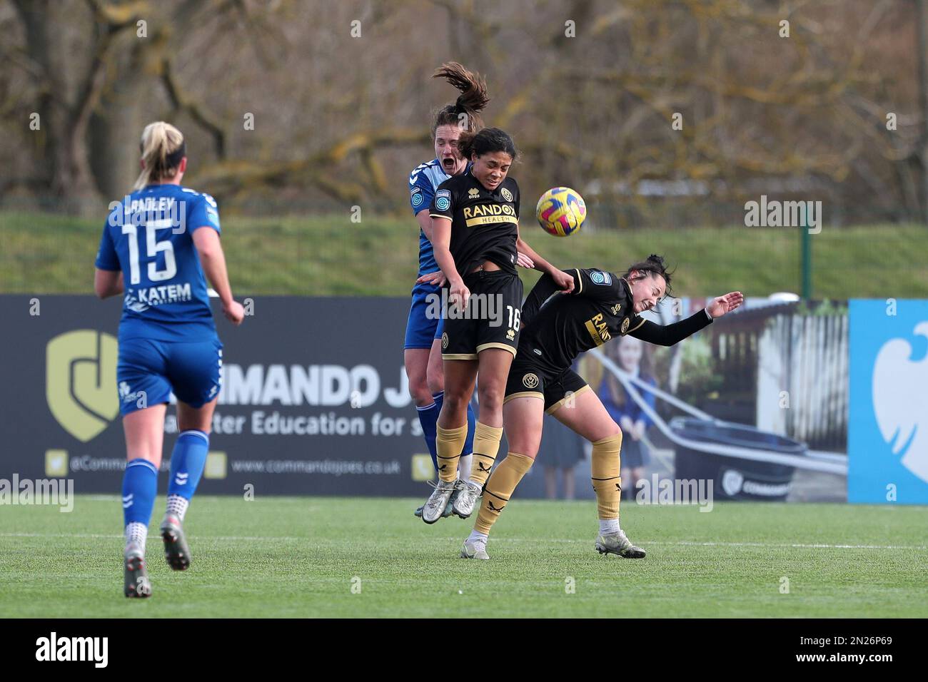 Chene muir hi-res stock photography and images - Alamy