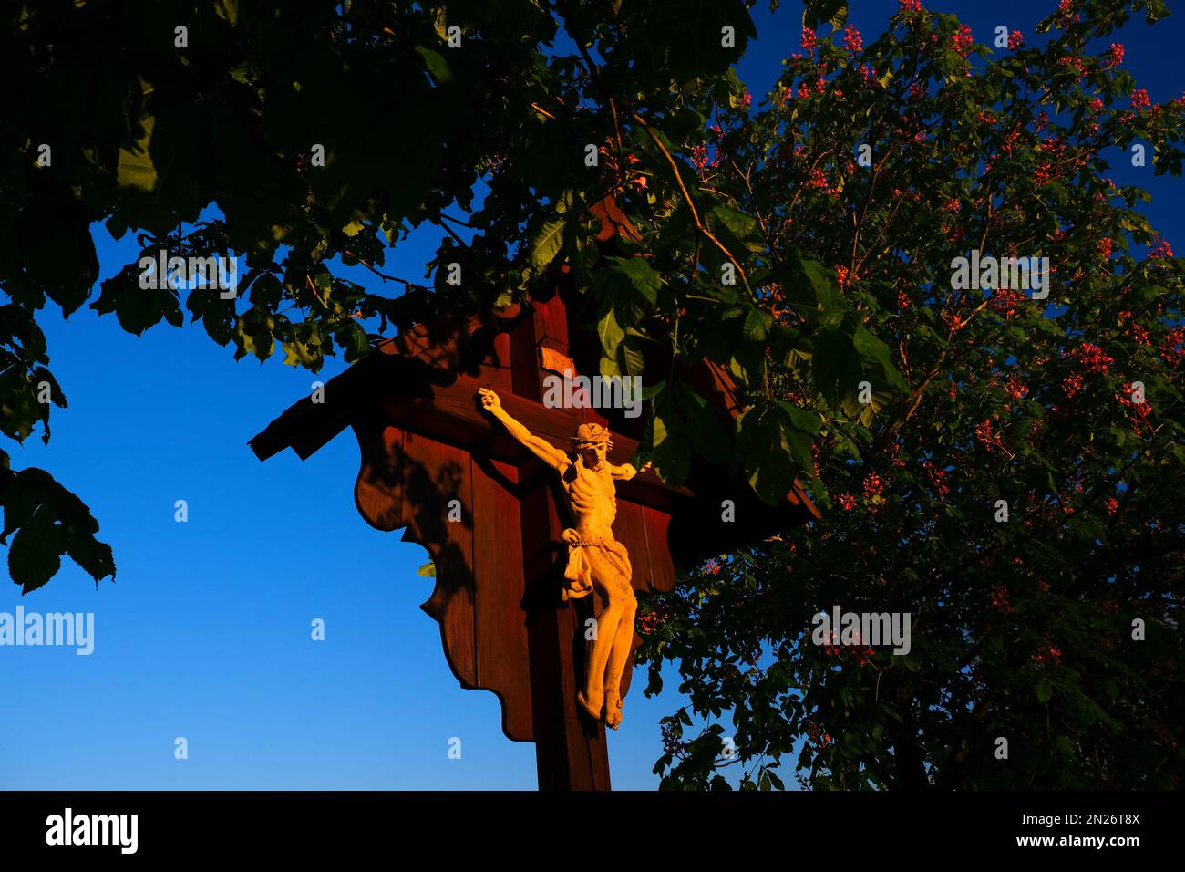 Jesus Christ on the cross in blooming chestnut trees on blue sky ...