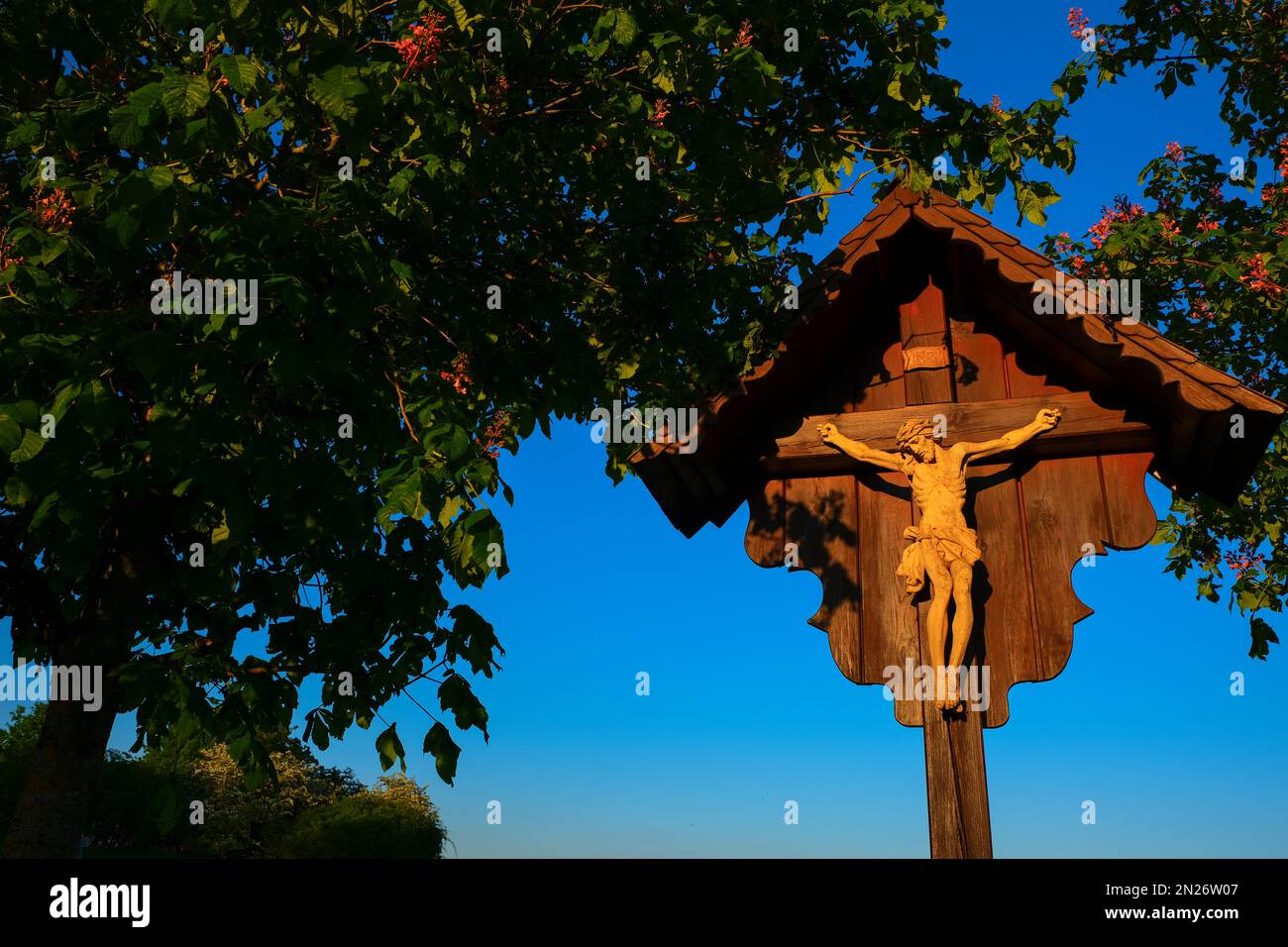 Jesus Christ on the wood cross in blooming chestnut trees .Christian ...