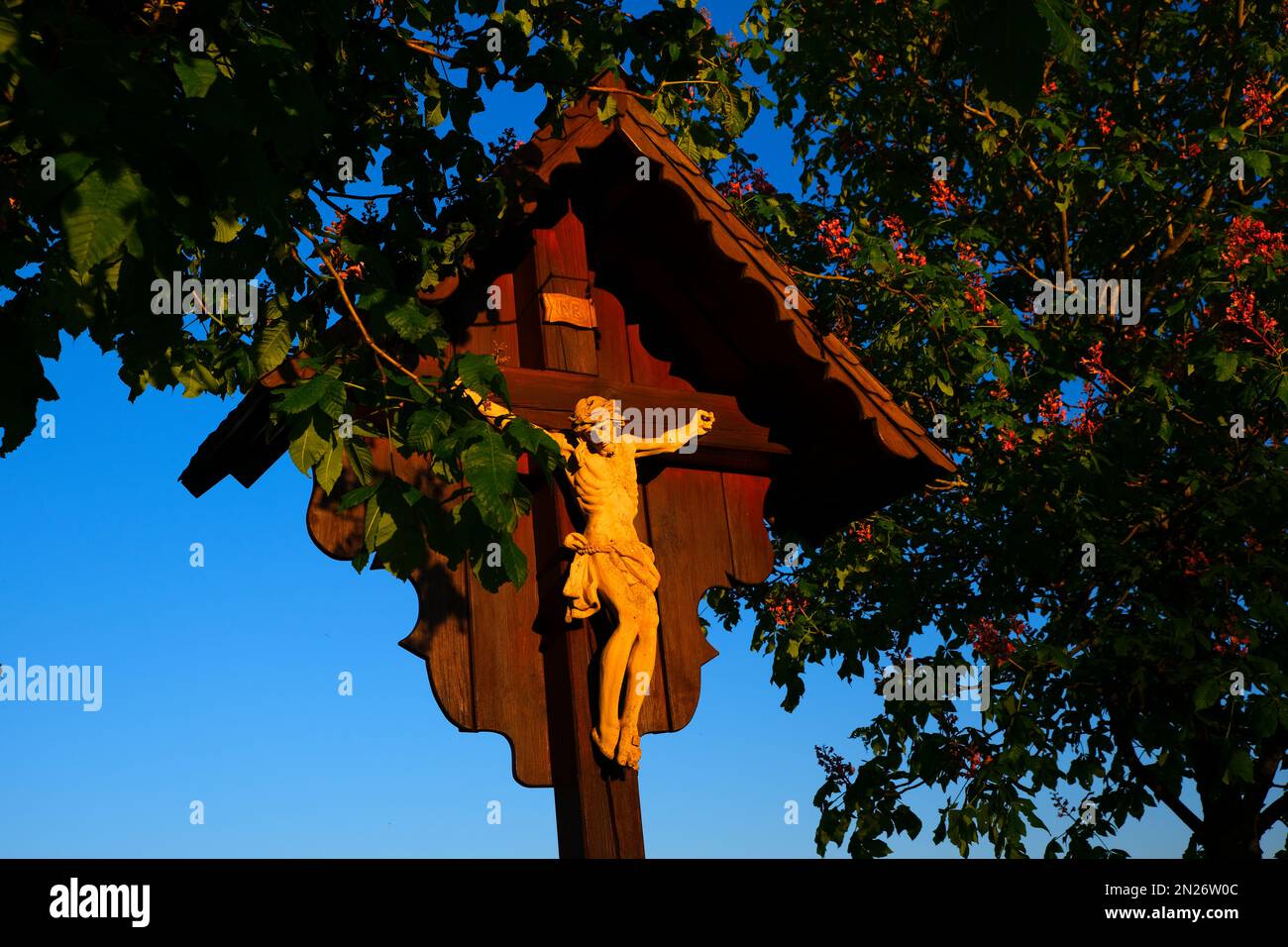 Jesus Christ on the wood cross in blooming chestnut trees on blue sky ...