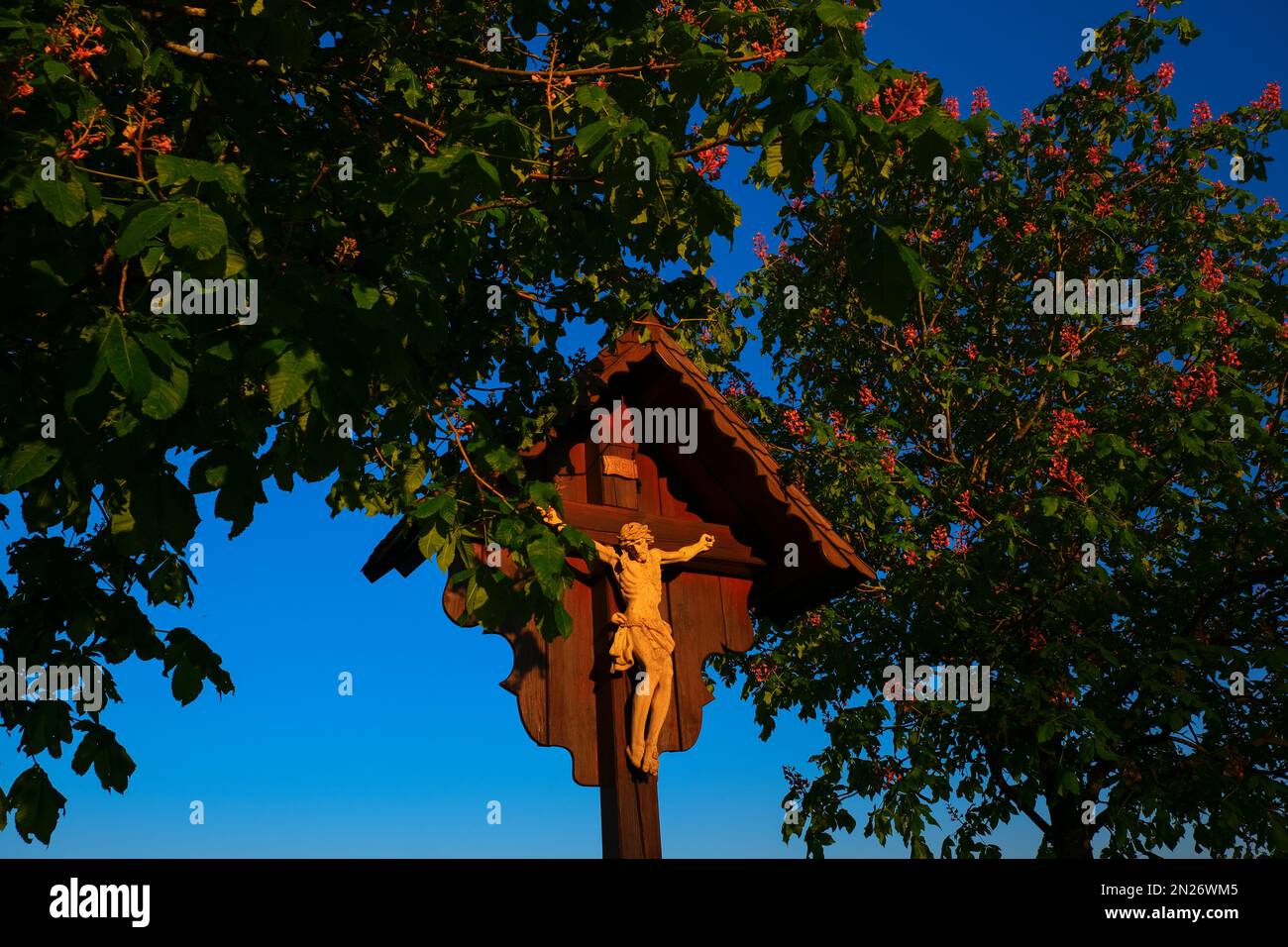 Jesus Christ on the wood cross in blooming chestnut trees on blue sky ...