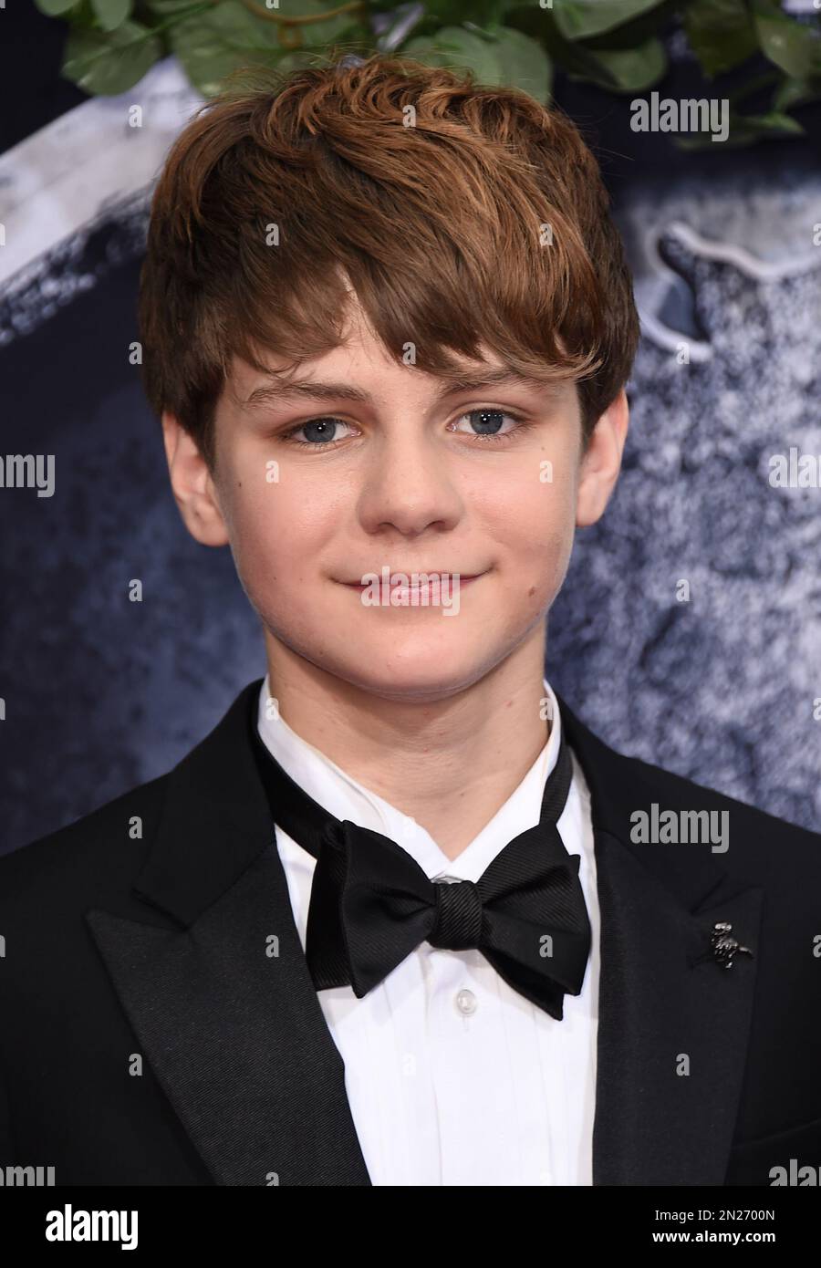 Ty Simpkins arrives at the Los Angeles premiere of "Jurassic World" at ...