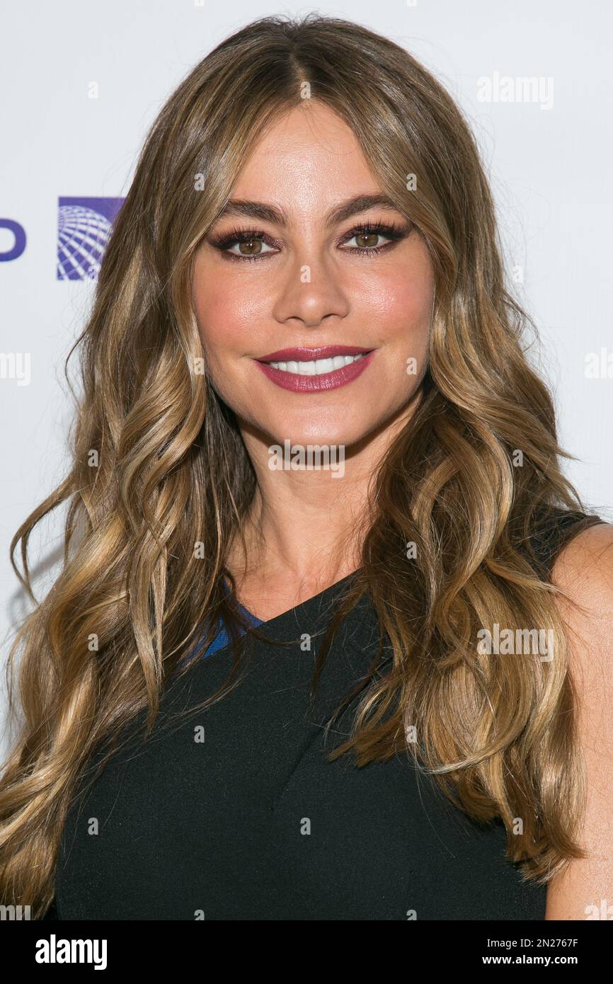Sofia Vergara attends at The Screen Actors Guild Foundation's 6th ...