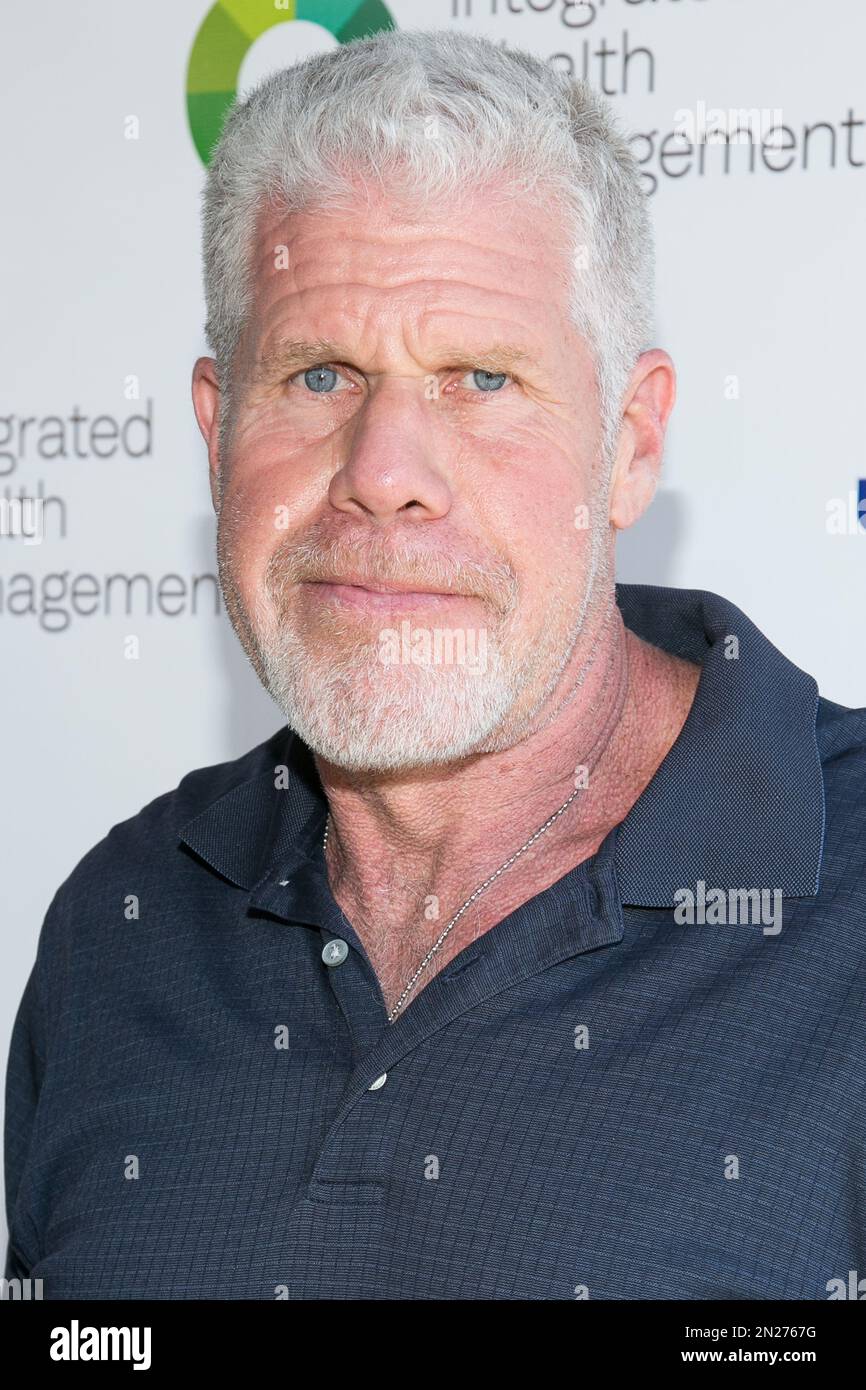 Ron Perlman attends at The Screen Actors Guild Foundation's 6th Annual ...