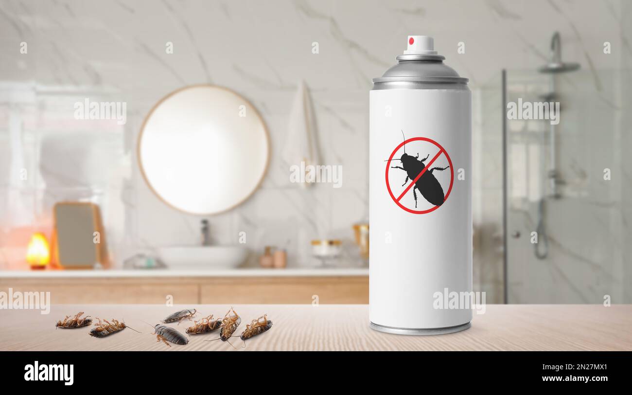 Pest control. Insecticide and dead cockroaches on table in bathroom ...