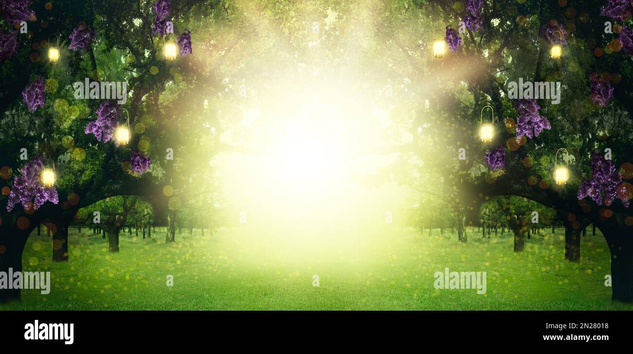 Fantasy world. Trees with magic lights and blossoming flowers in ...