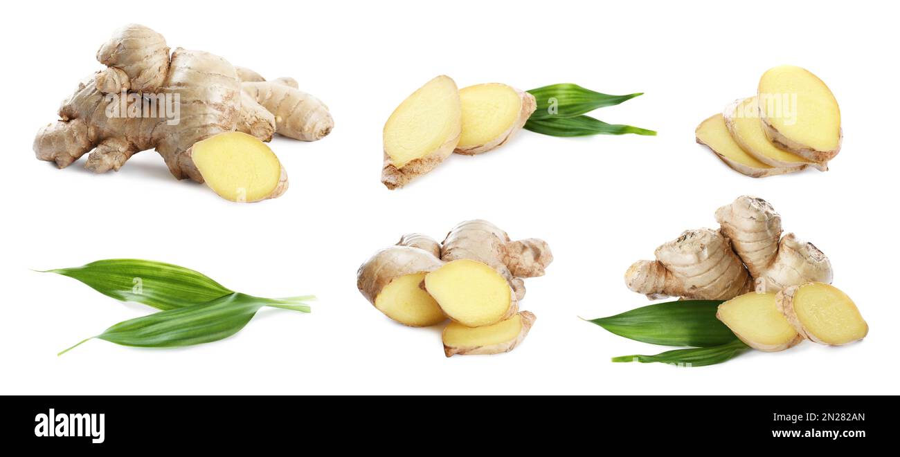 Set of fresh aromatic ginger with green leaves on white background ...