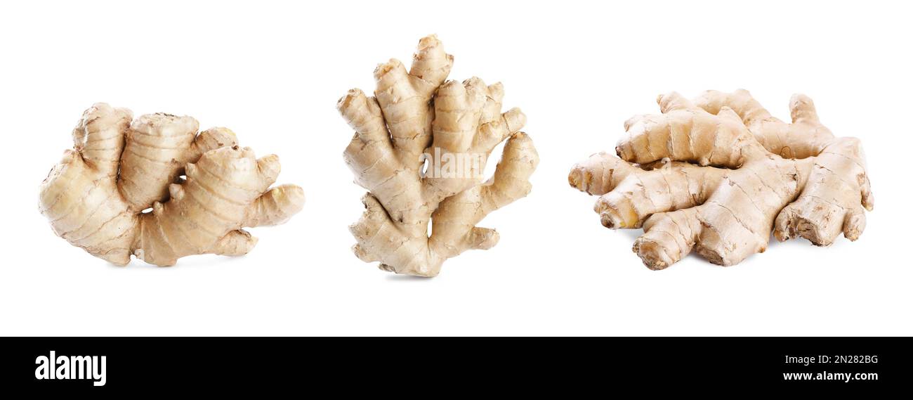 Set of fresh aromatic ginger on white background. Banner design Stock ...