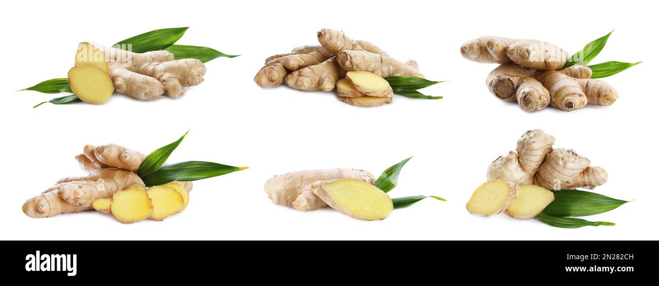 Set of fresh aromatic ginger with green leaves on white background ...