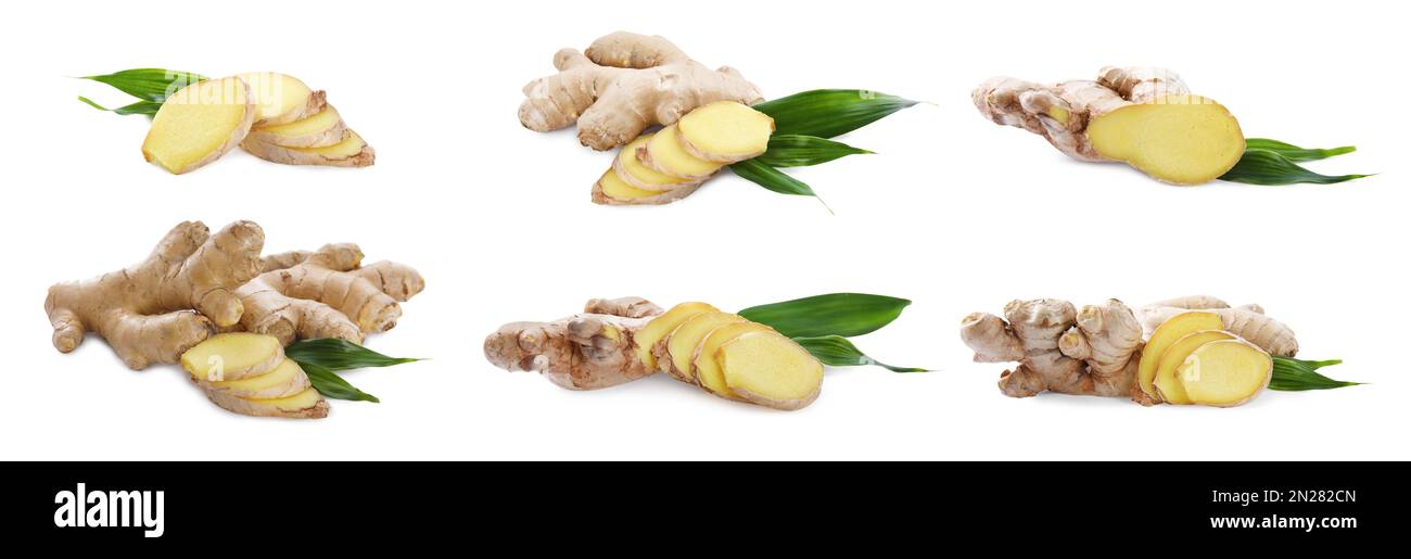 Set of fresh aromatic ginger with green leaves on white background ...