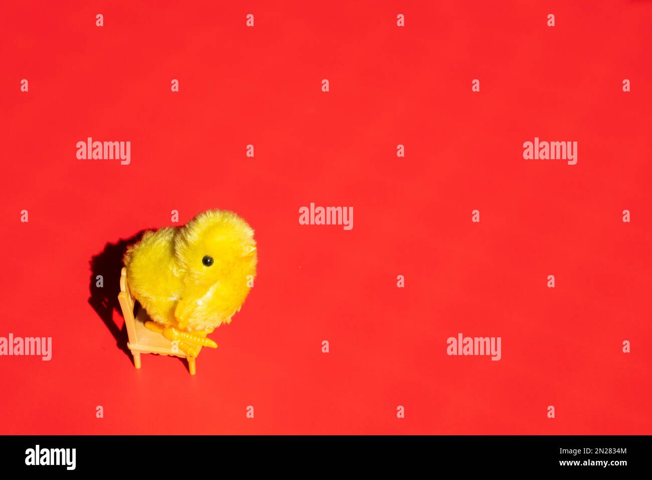 Cute little chick stands alone on a red background. Conceptual Stock ...