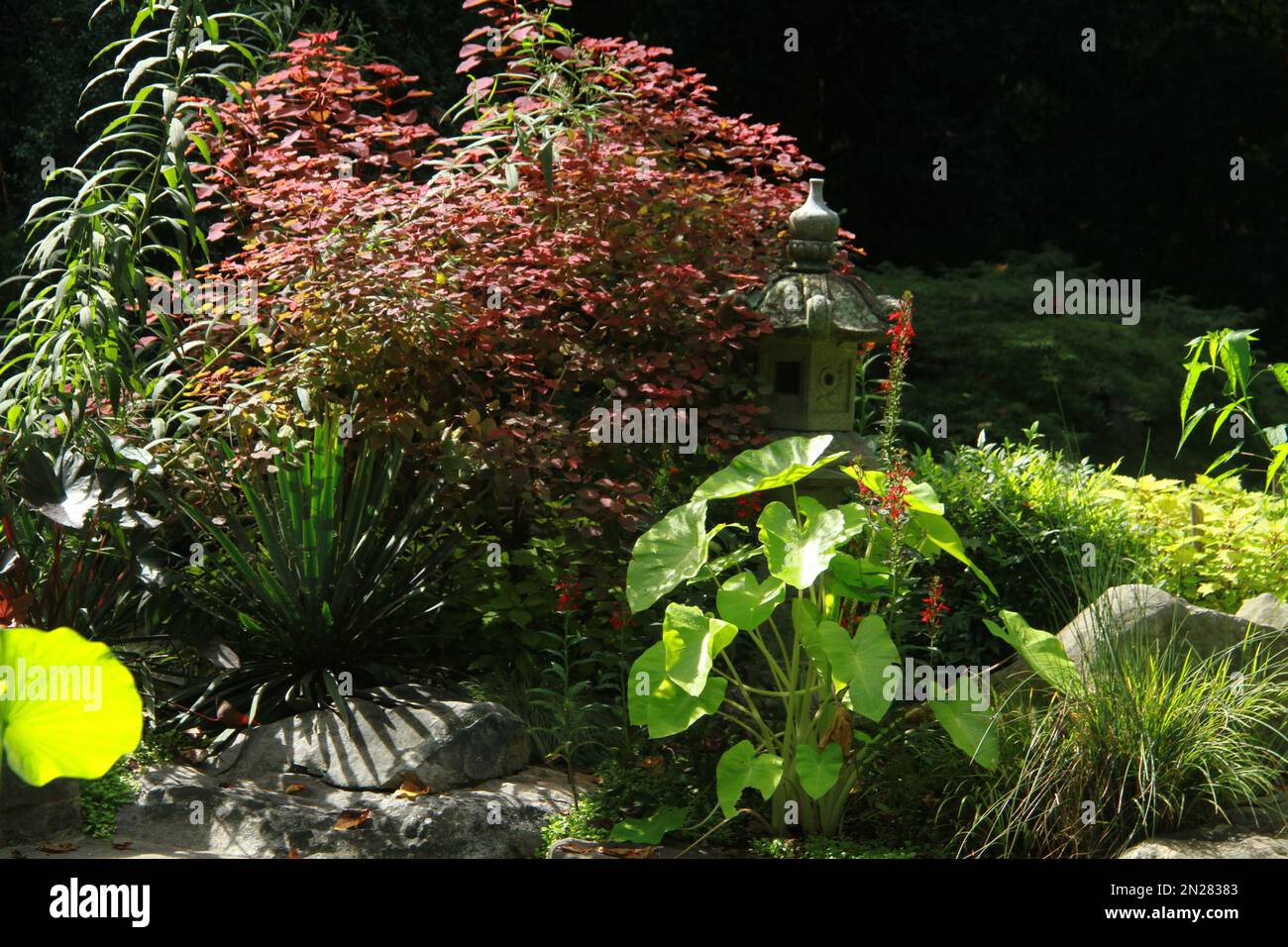 The unc charlotte botanical gardens hi-res stock photography and images ...