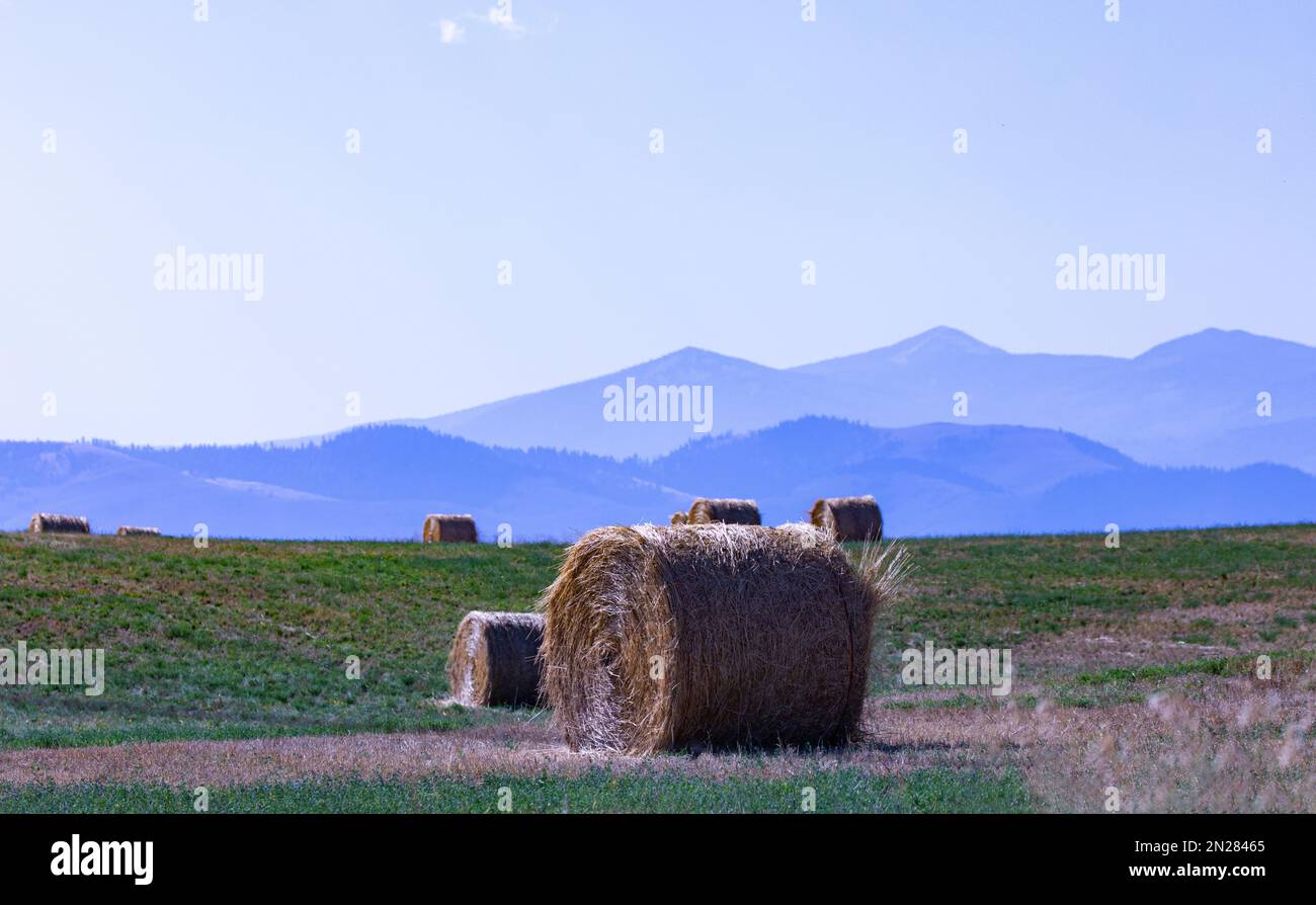Montana field and hills hi-res stock photography and images - Alamy