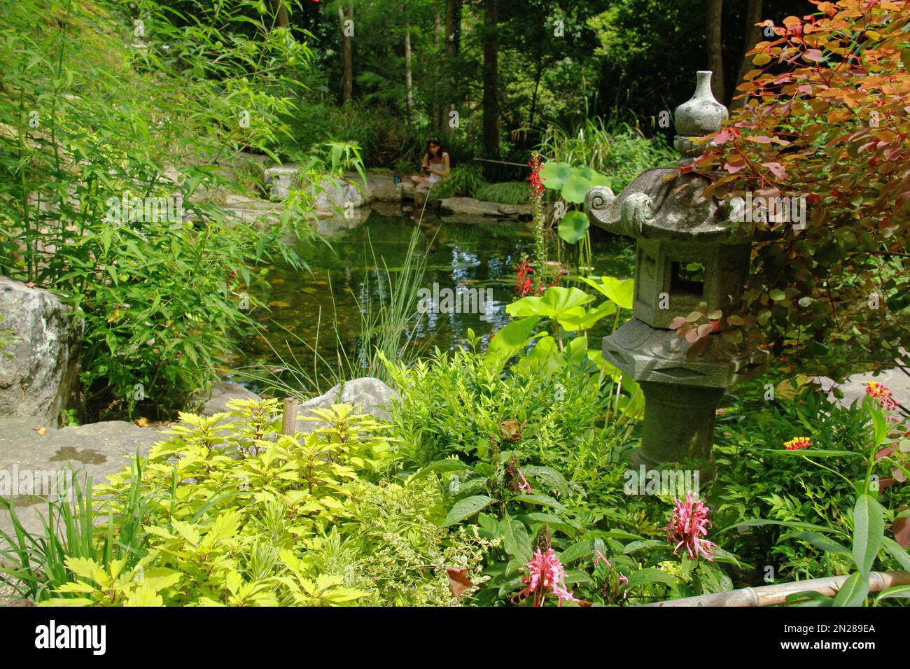Pond at the UNC Charlotte Botanical Gardens, NC, USA Stock Photo - Alamy
